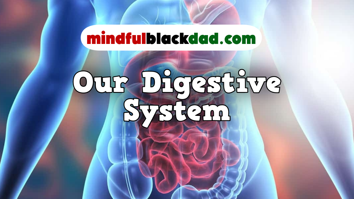 Learn all about our amazing Digestive System - Mindful Black Dad